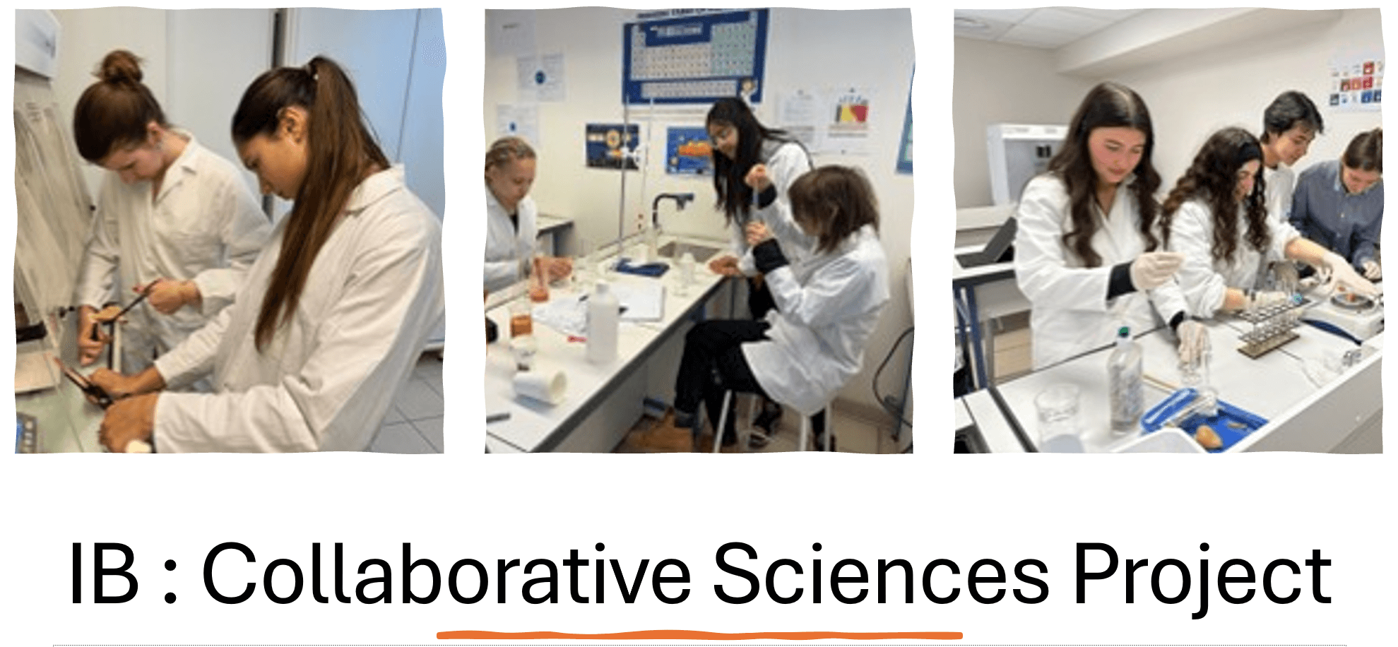 IB : Collaborative Sciences Project - Lycée - Ombrosa